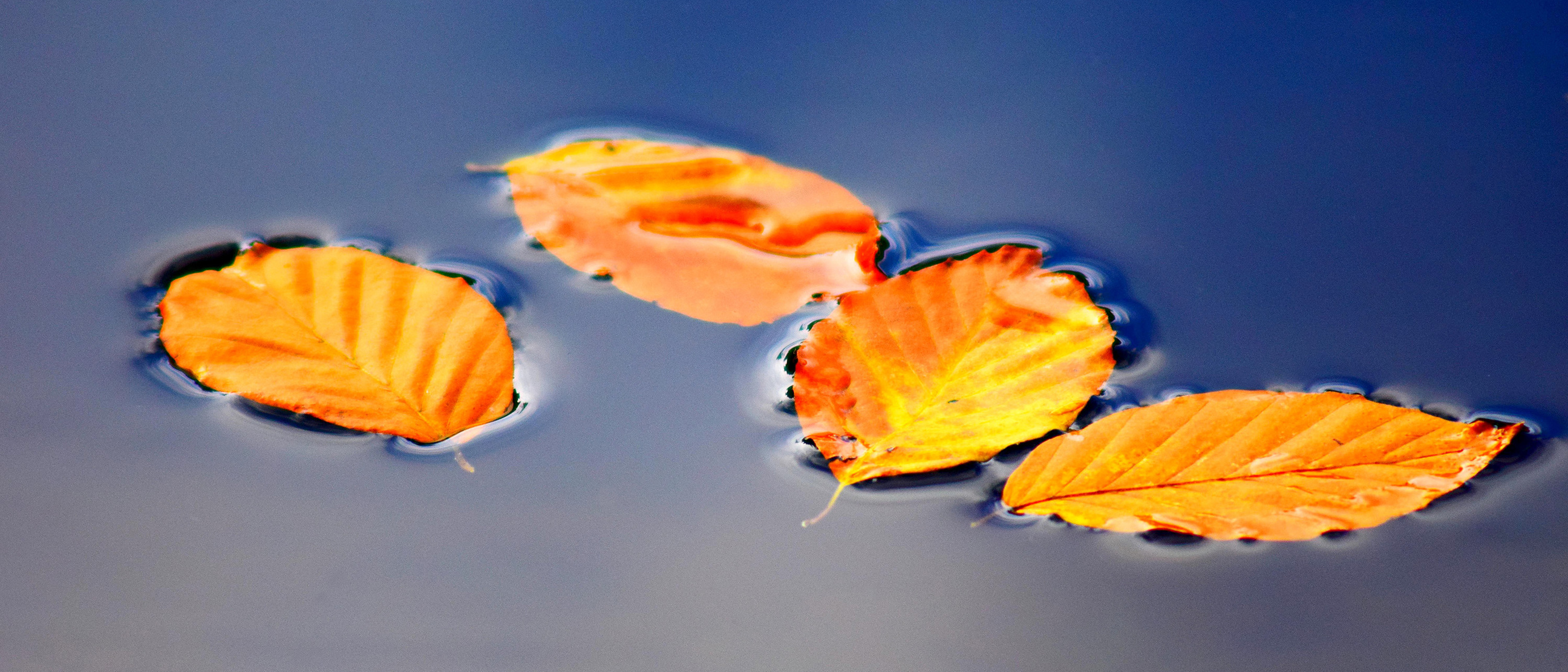 Peer Support Specialists | Iowa Peer Workforce Collaborative - The University of Iowa